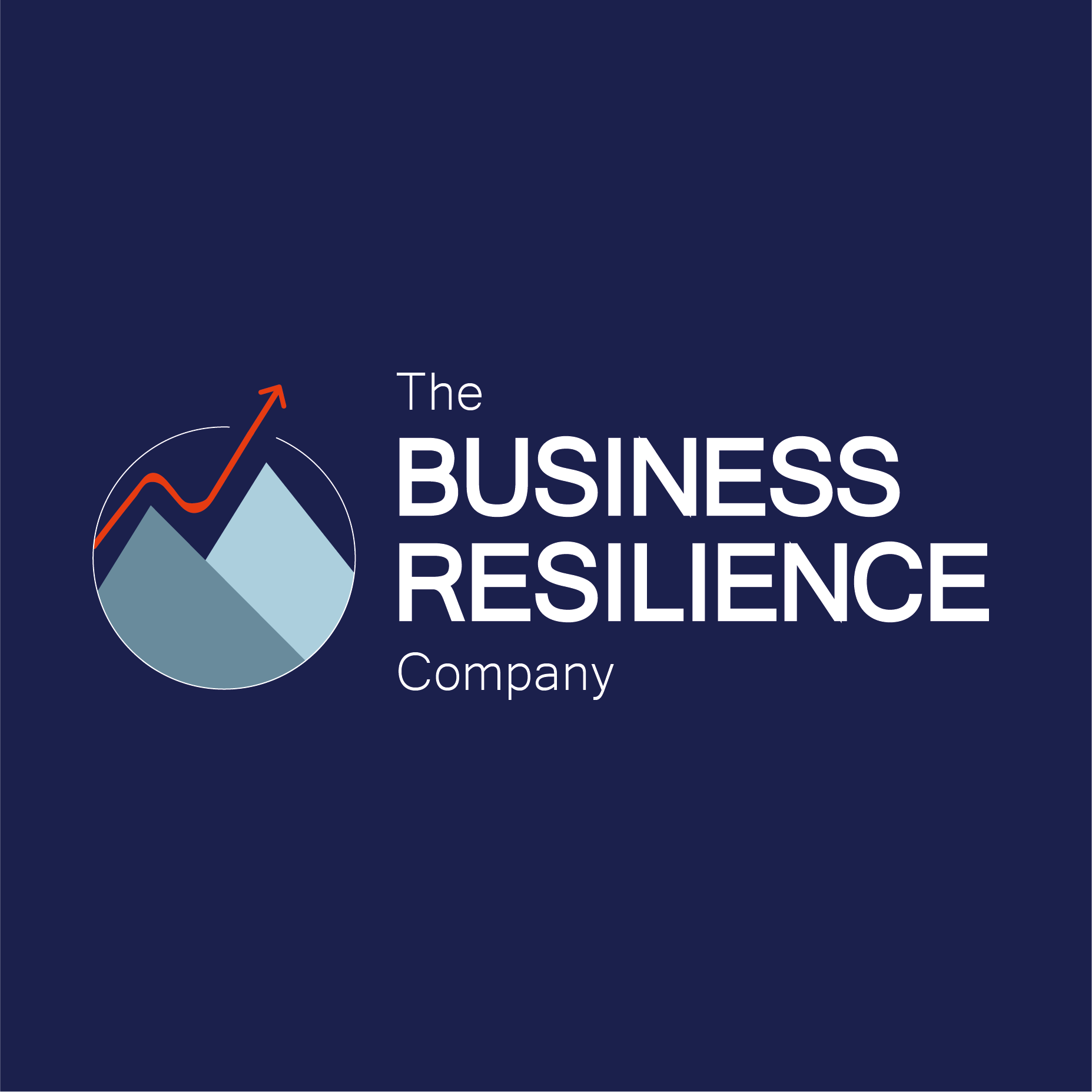 The Business Resilience Co – Building the Skill, Will and Grit to Succeed
